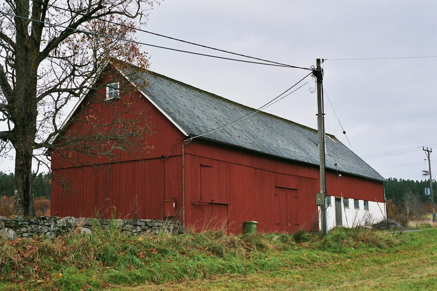 Erik Andersson | Skunke