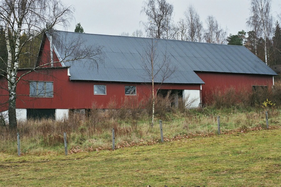 Erik Andersson | Skunke