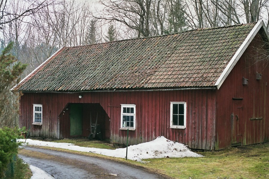 Erik Andersson | Skunke