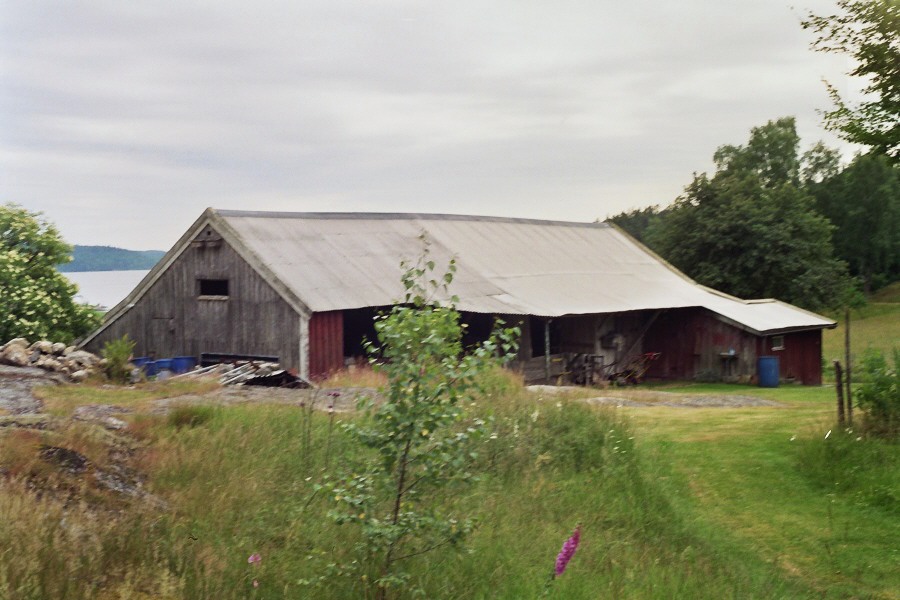 Erik Andersson | Skunke