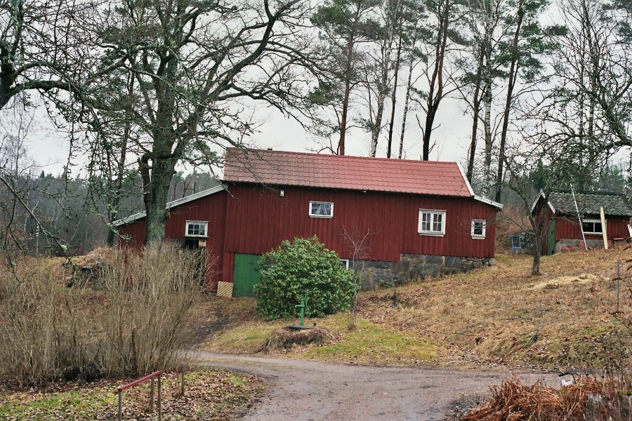 Erik Andersson | Skunke