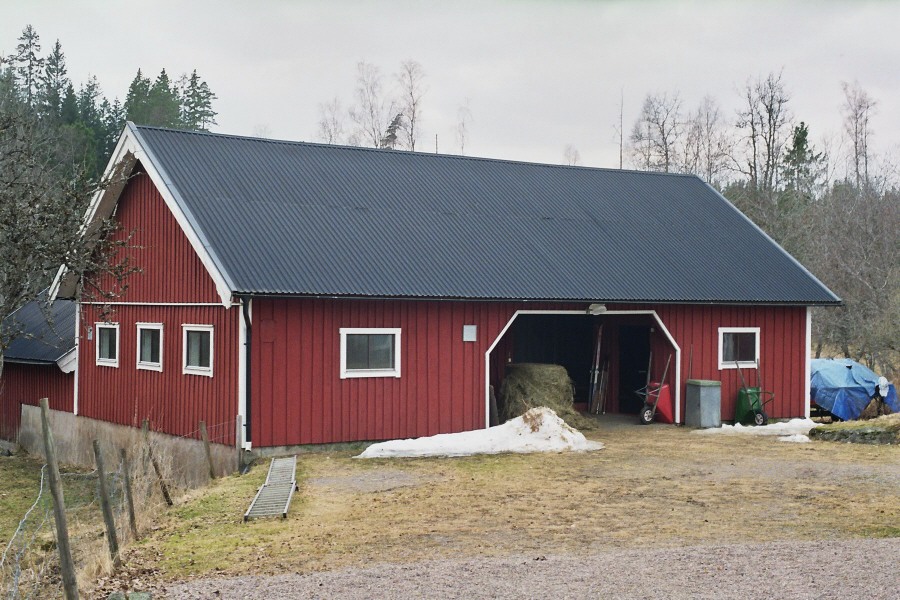 Erik Andersson | Skunke