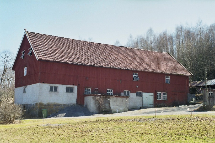 Erik Andersson | Skunke