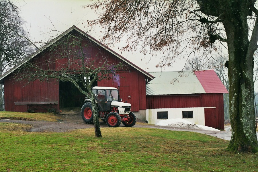 Erik Andersson | Skunke