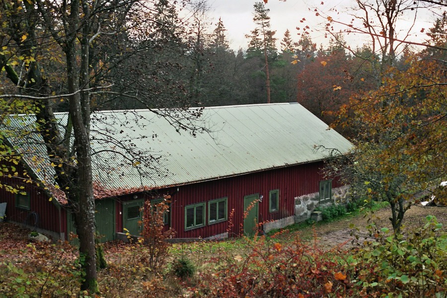 Erik Andersson | Skunke