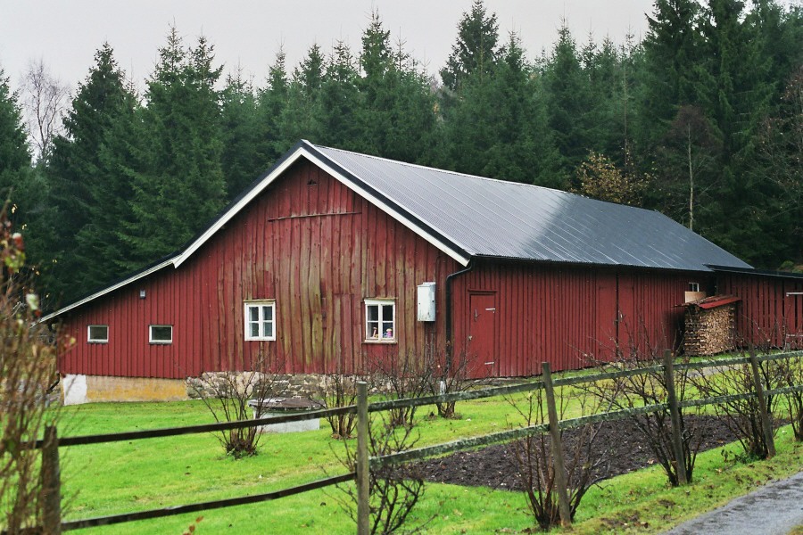 Erik Andersson | Skunke