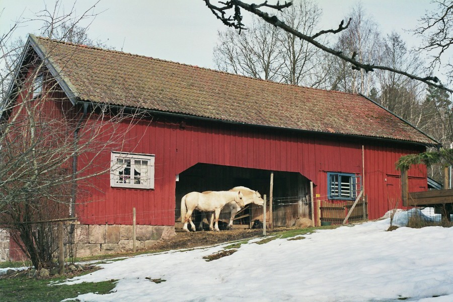 Erik Andersson | Skunke