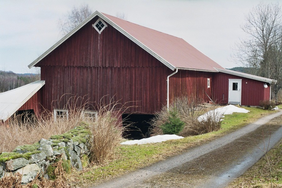 Erik Andersson | Skunke