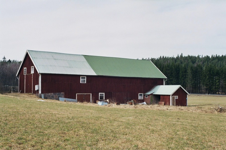 Erik Andersson | Skunke