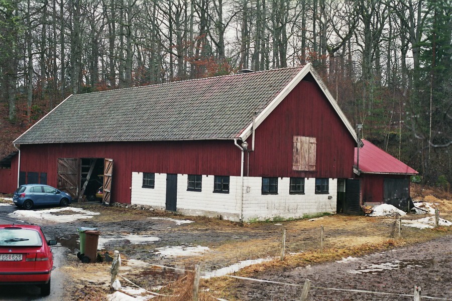 Erik Andersson | Skunke