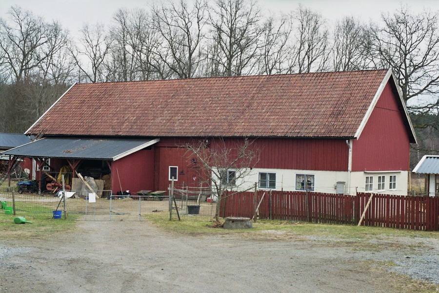 Erik Andersson | Skunke