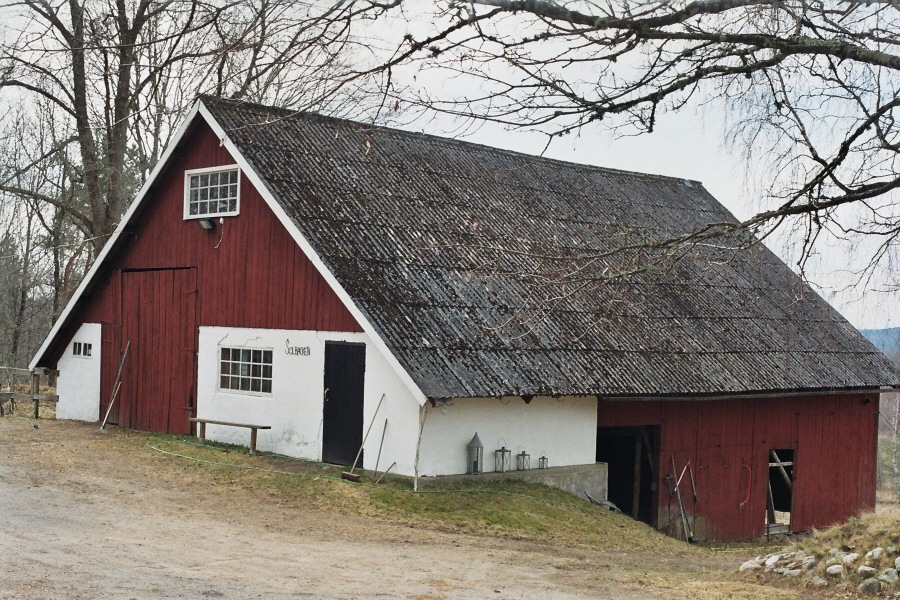 Erik Andersson | Skunke